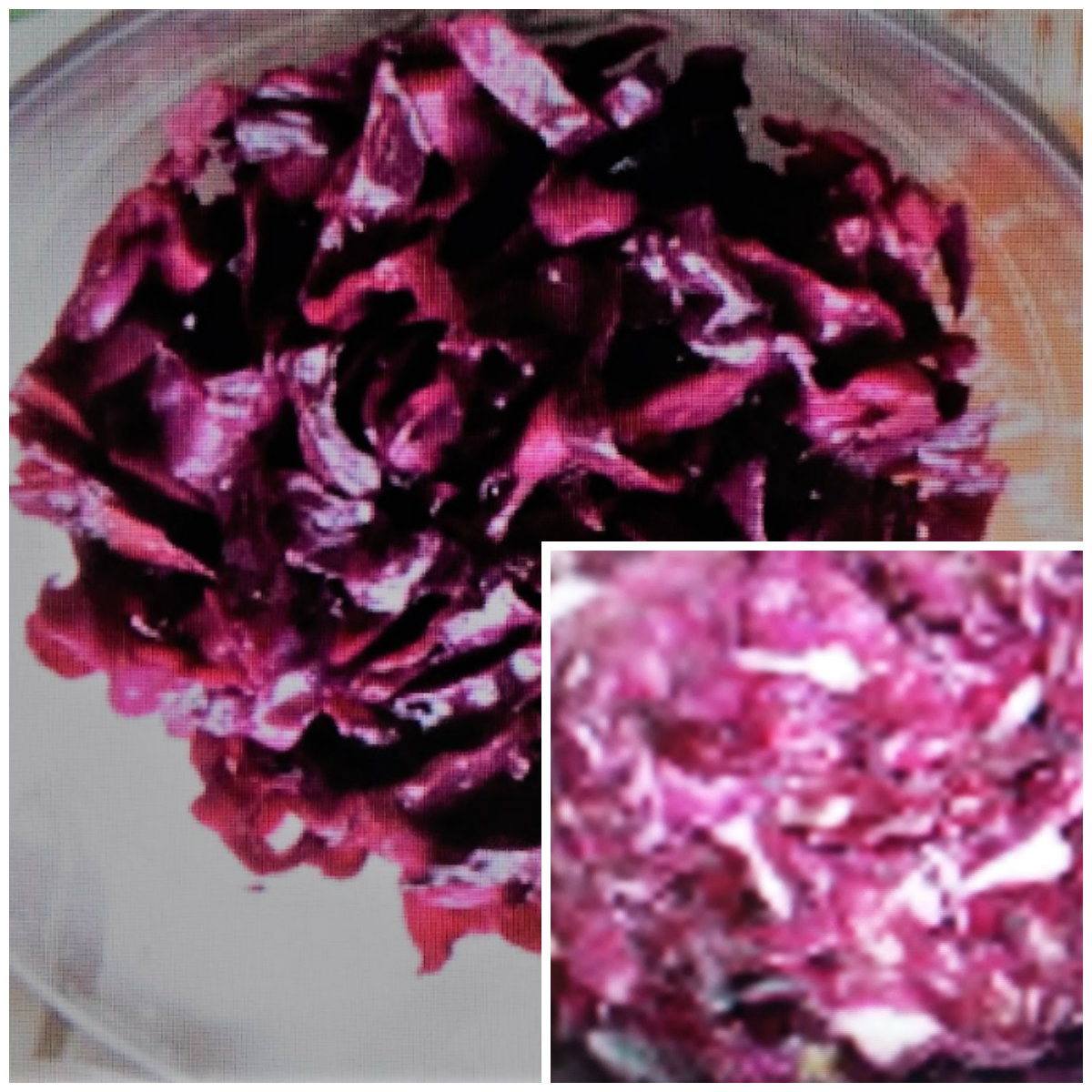 Chou – rouge | MIAMSLESPASSIONS