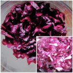 Chou – rouge | MIAMSLESPASSIONS