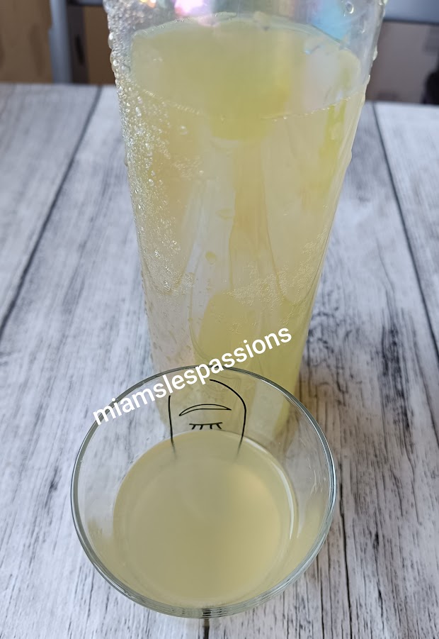 Kéfir à l’eau de coco | MIAMSLESPASSIONS